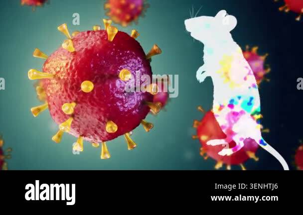 Conceptual 3d animation showing a lab mouse silhouette becoming ...