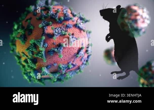 Animal silhouette sniffing a coronavirus cell, representing scientific ...