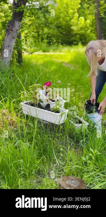 blonde woman in white rubber boots planting flowering plants in a ...