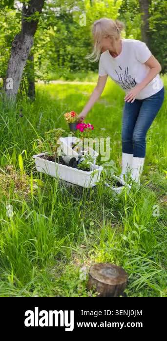 blonde woman in white rubber boots planting flowering plants in a ...