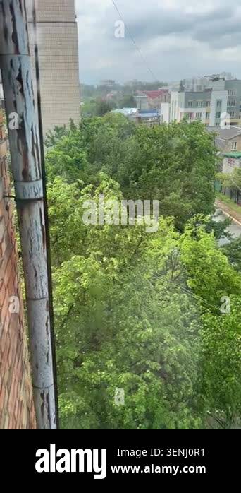 Urban city view with lush green treetops during rainfall seen from ...