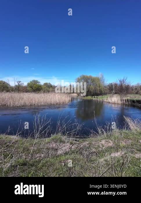 beautiful view of the lake Stock Video Footage - Alamy
