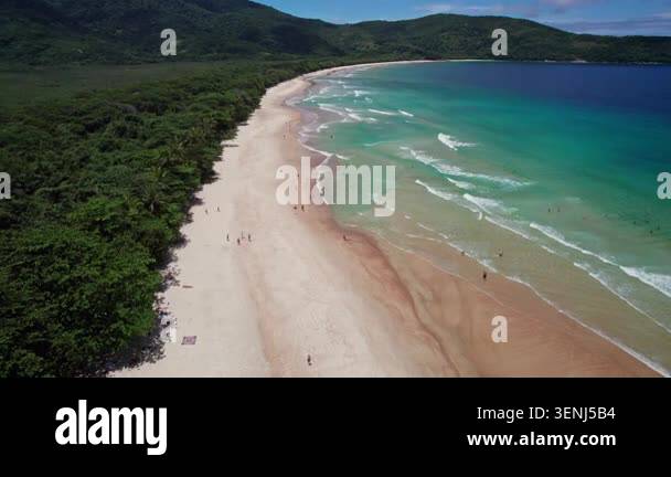Aerial view capture a beautiful beach, forest background, and blue sky ...