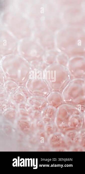 Super Slow Motion Rose Water Bubbles Vertical Closeup Stock Video ...