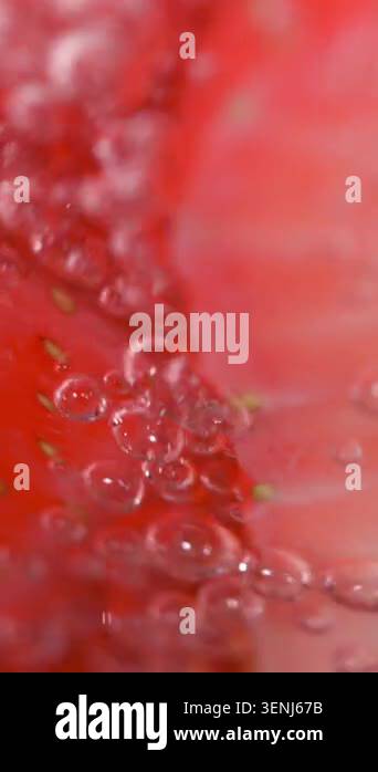 Super Slow Motion Strawberry Surface With Rising Bubbles Stock Video ...