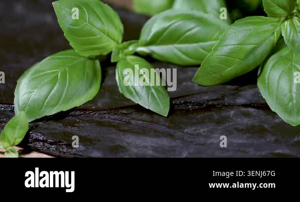 Super Slow Motion Rustic Basil Sprigs On Slate Board Captured Stock ...