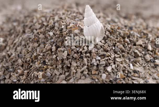 Super Slow Motion Solitary White Shell On Gravel Mound, Cinematic Super ...