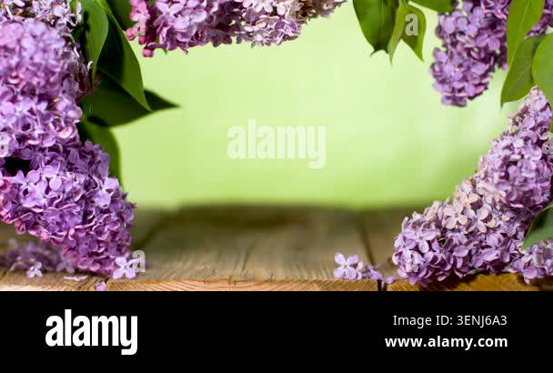 Purple Lilac Branch Framing Wooden Table, Slider Glide Captures Soft ...