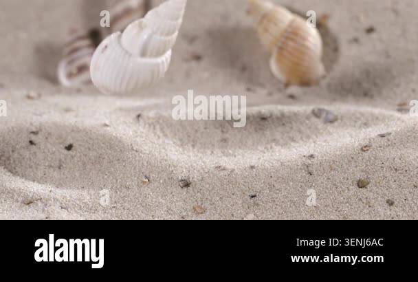 Super Slow Motion Super Slow Motion Floating Shell Lands On Soft Sand ...