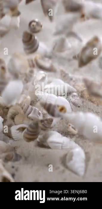 Super Slow Motion Super Slow Motion Falling Shells Pile Across Sandy ...