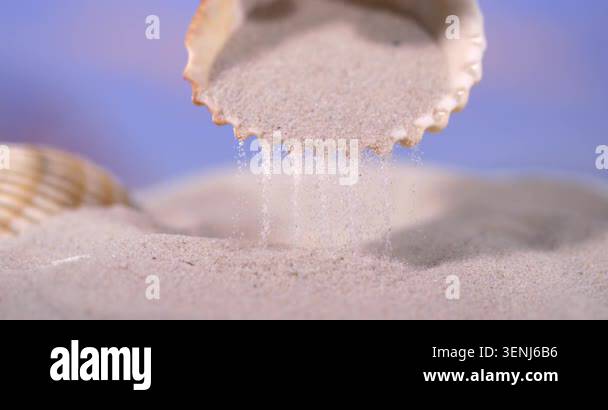 Scallop Shell Releasing Sand Super Slow Motion, Closeup Stock Video ...