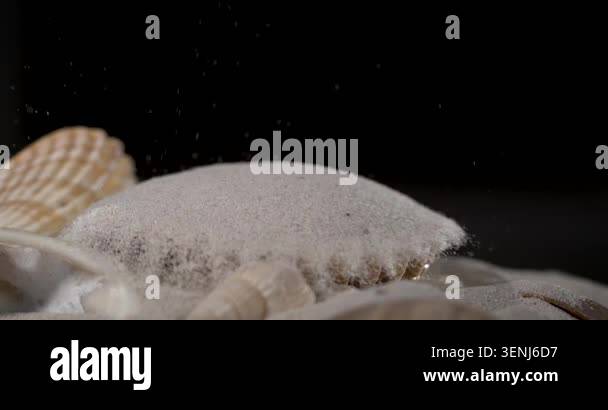 Buried Shell Under Sand Super Slow Motion, Closeup Still Life Stock ...