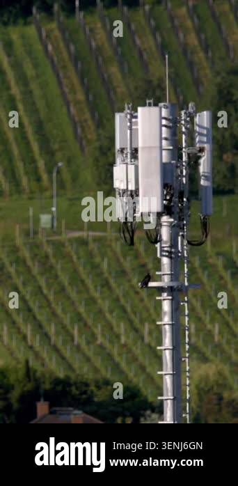Telecom Tower In Vineyard Rows, Compact Antenna Cluster Above Green ...
