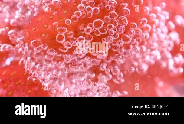 Super Slow Motion Strawberry Covered In Bubbles Tight Macro Stock Video ...