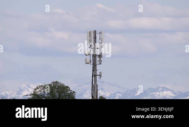 Cell Tower With Snowy Mountains, Lone Mast Rising Above Tree Line ...