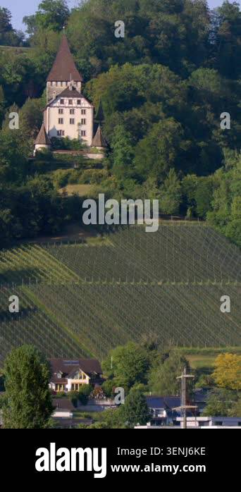 Weinfelden Vineyard Hillside Castle Closeup, Winemaker Inspecting Rows ...
