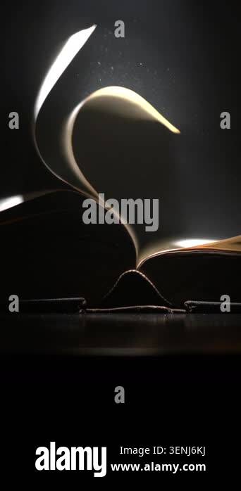 Slow Motion Book Pages Curl Into Heartshaped Silhouettes Under Soft ...