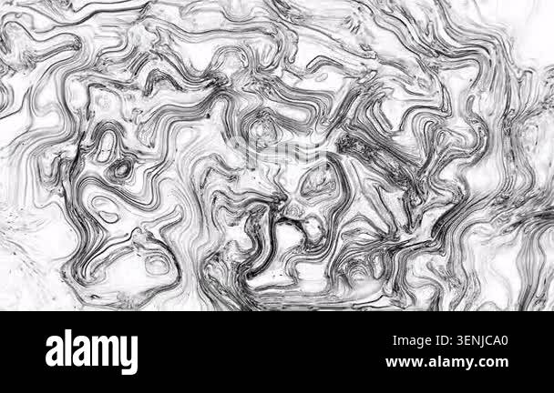 Abstract black and white background with fine liquid contour lines ...