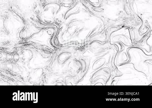 Detailed monochrome background with curved black river lines on white ...