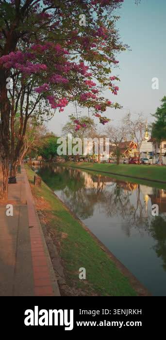 peaceful canal road with cars and motorcycles at sunset, calm city ...
