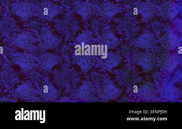 Motion footage background with colorful elements. Flowers. Vintage ...