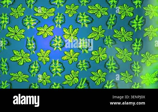 Motion footage background with colorful elements. Flowers. Vintage ...
