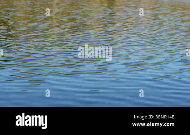 Water ripples move across a reflective surface with shifting light and ...