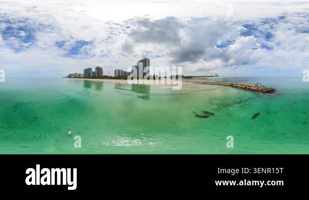 Manatees in Miami Beach by Haulover Inlet 360 VR aerial video Stock ...