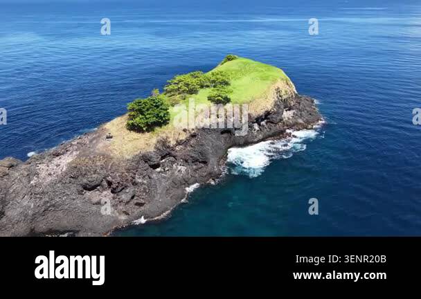 Aerial view of a small rocky island with green grass and trees ...