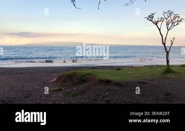 Ocean Waves Crashing on a Black Sand Beach with a Lone Tree and Island ...
