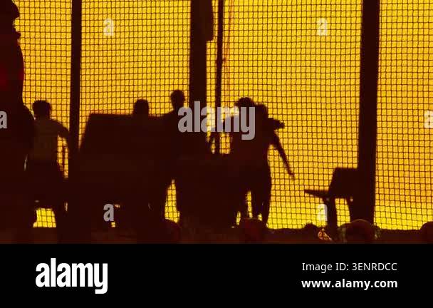 Silhouettes of athletes playing basketball, exercising and training on ...