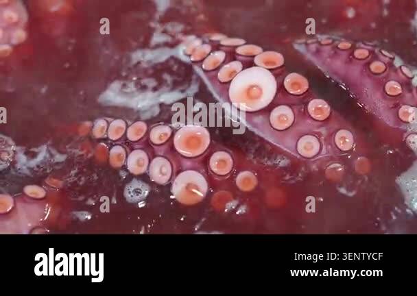 Fresh octopus tentacles with suckers boiling in hot water. Professional ...