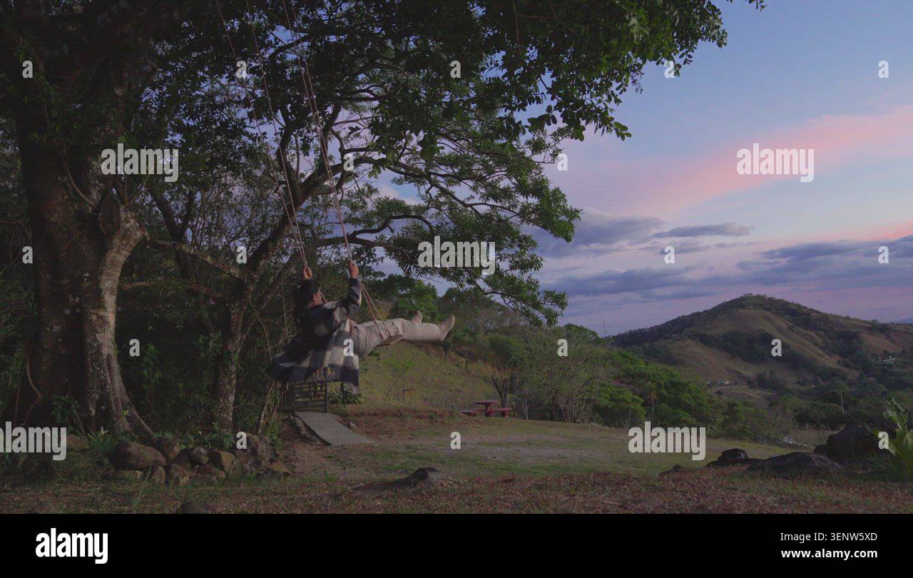 Woman swinging on tree swing at sunset overlooking mountains Stock ...