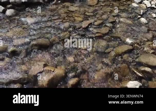 Water moves swiftly over smooth stones in a clear stream. The setting ...