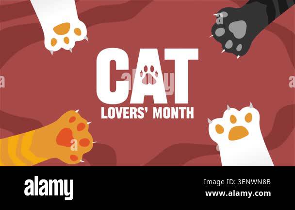 celebrating cat lovers month with cute cats Stock Video Footage - Alamy