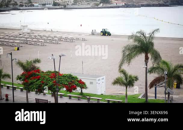 Tractor leveling sand on Los Cristianos beach in Tenerife, Spain ...
