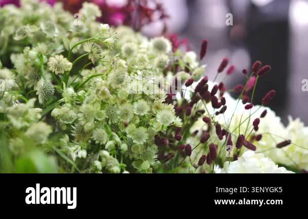 Close-up video of a beautiful flower arrangement featuring light green ...