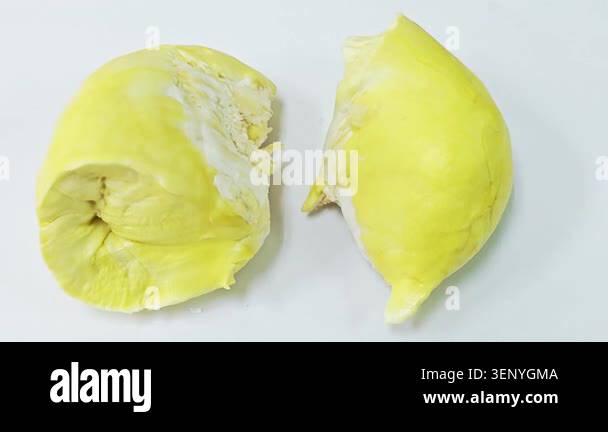 Close up of ripe yellow durian pulp on white background Stock Video ...