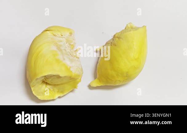 Fresh yellow durian flesh isolated on white background Stock Video ...