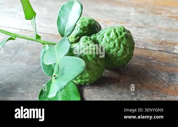 Fresh green kaffir lime fruits with branch on wooden table Stock Video ...