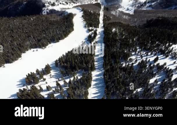 aerial view of the mountains in the forest Stock Video Footage - Alamy
