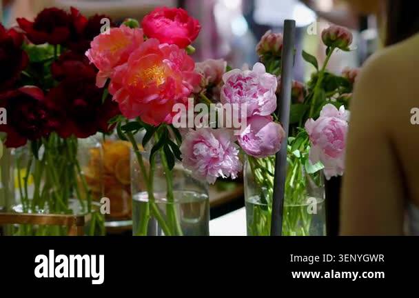 Bright pink and red peonies in clear glass vases catching the sunlight ...