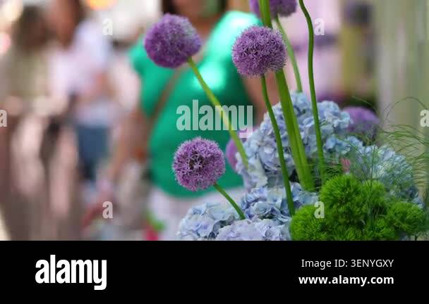 Close-up shot of a vibrant flower arrangement featuring purple alliums ...
