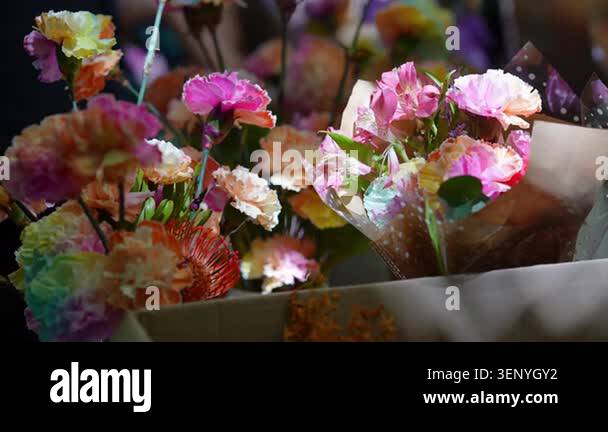 Beautiful multicolored carnation bouquets displayed in a box. Close-up ...