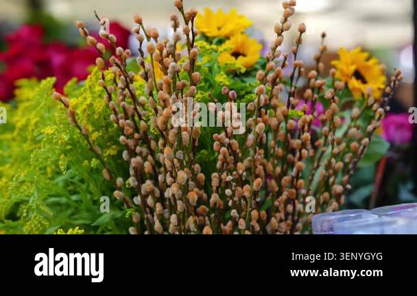 Colorful bouquet featuring pussy willow branches, yellow goldenrods ...