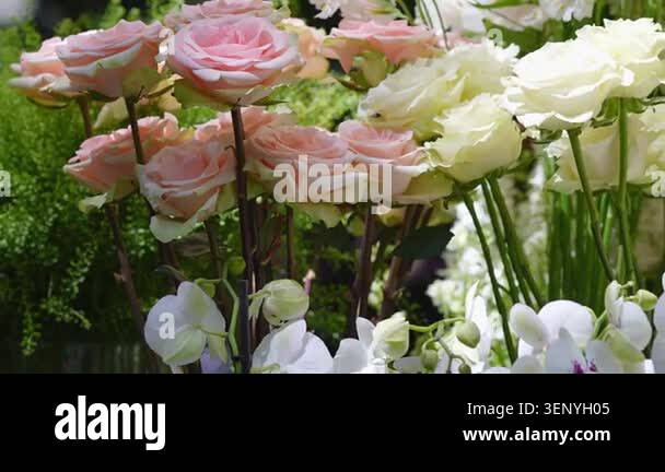 Elegant bouquets of fresh pink and white roses with orchids create a ...