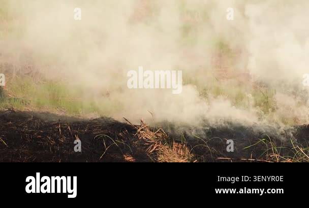 Grass and bush fire with thick smoke spreading across a natural field ...