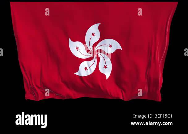 Hong Kong flag white bauhinia. Hong Kong Asia China international ...