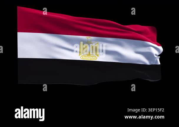 National flag of Egypt. Eagle of Saladin news broadcasts political ...