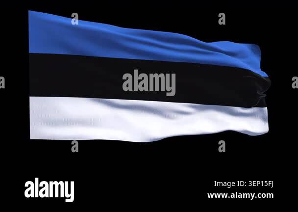 High-quality flag of Estonia. Ideal for Baltic region geography ...